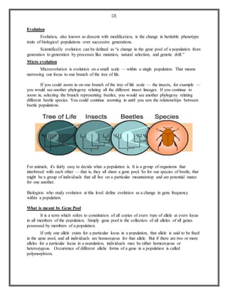 Allele frequency | DOCX