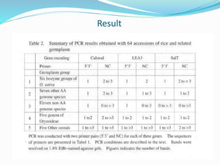 Allele mining | PPTX