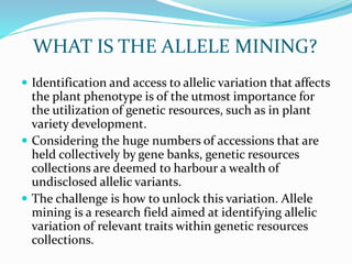 Allele mining | PPTX