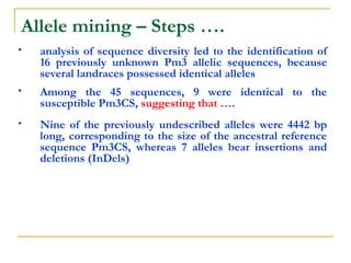 Allele mining-Utilization of PGR in plant breeding.ppt | Genetics | Science