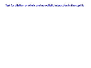 Allelic and non-allelic interaction in Drosophila.pptx
