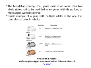 Allelic and non-allelic interaction in Drosophila.pptx