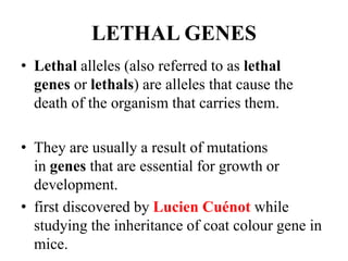 Allelic Gene Interaction.pptx