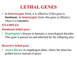 Allelic Gene Interaction.pptx