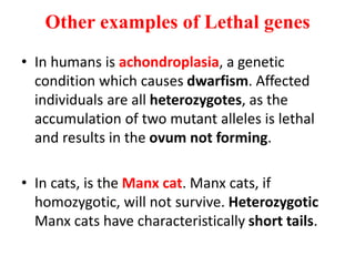 Allelic Gene Interaction.pptx