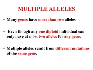 Allelic Gene Interaction.pptx