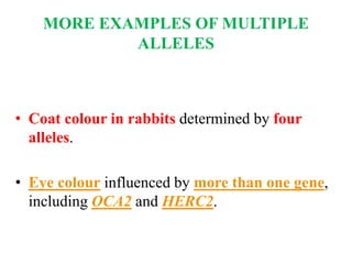 Allelic Gene Interaction.pptx