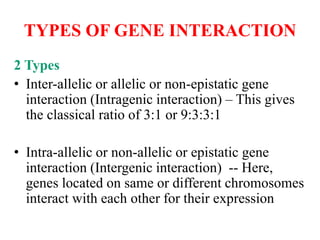 Allelic Gene Interaction.pptx