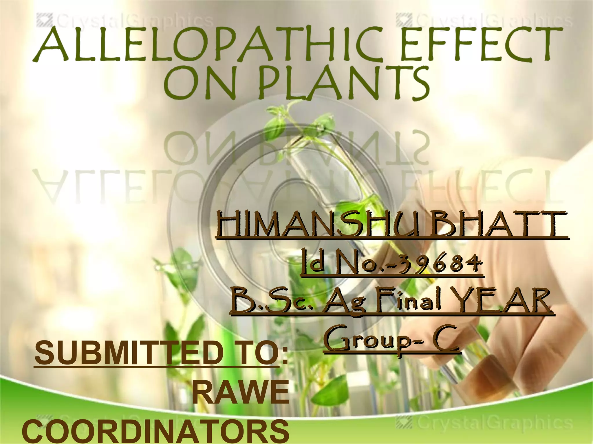 ALLELOPATHY BY HIMANSHU | PPT