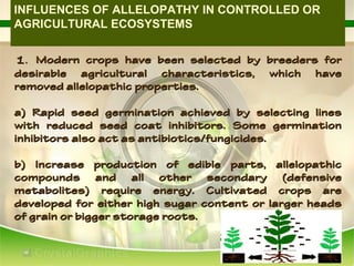 ALLELOPATHY BY HIMANSHU | PPT