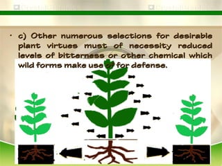 ALLELOPATHY BY HIMANSHU | PPT