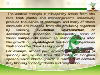 ALLELOPATHY BY HIMANSHU | PPT