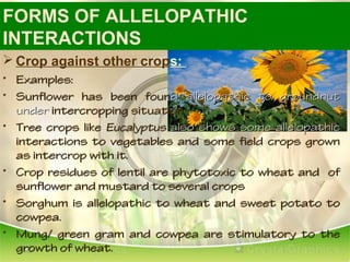 ALLELOPATHY BY HIMANSHU | PPT