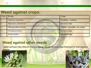 ALLELOPATHY BY HIMANSHU | PPT