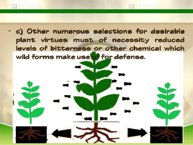 ALLELOPATHY BY HIMANSHU