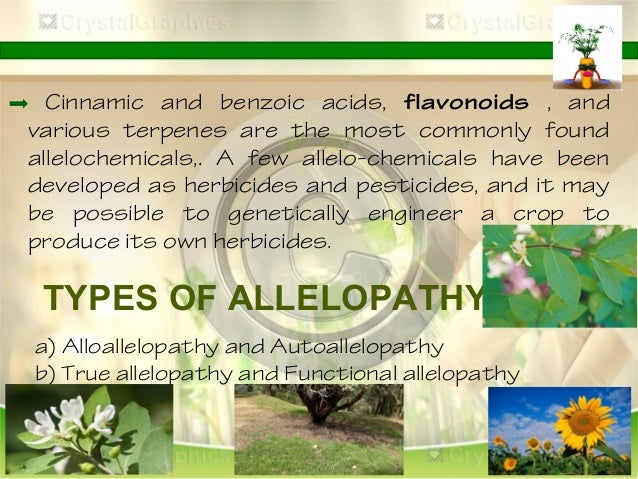 ALLELOPATHY BY HIMANSHU