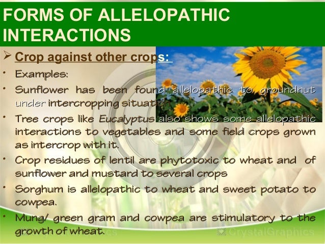 ALLELOPATHY BY HIMANSHU