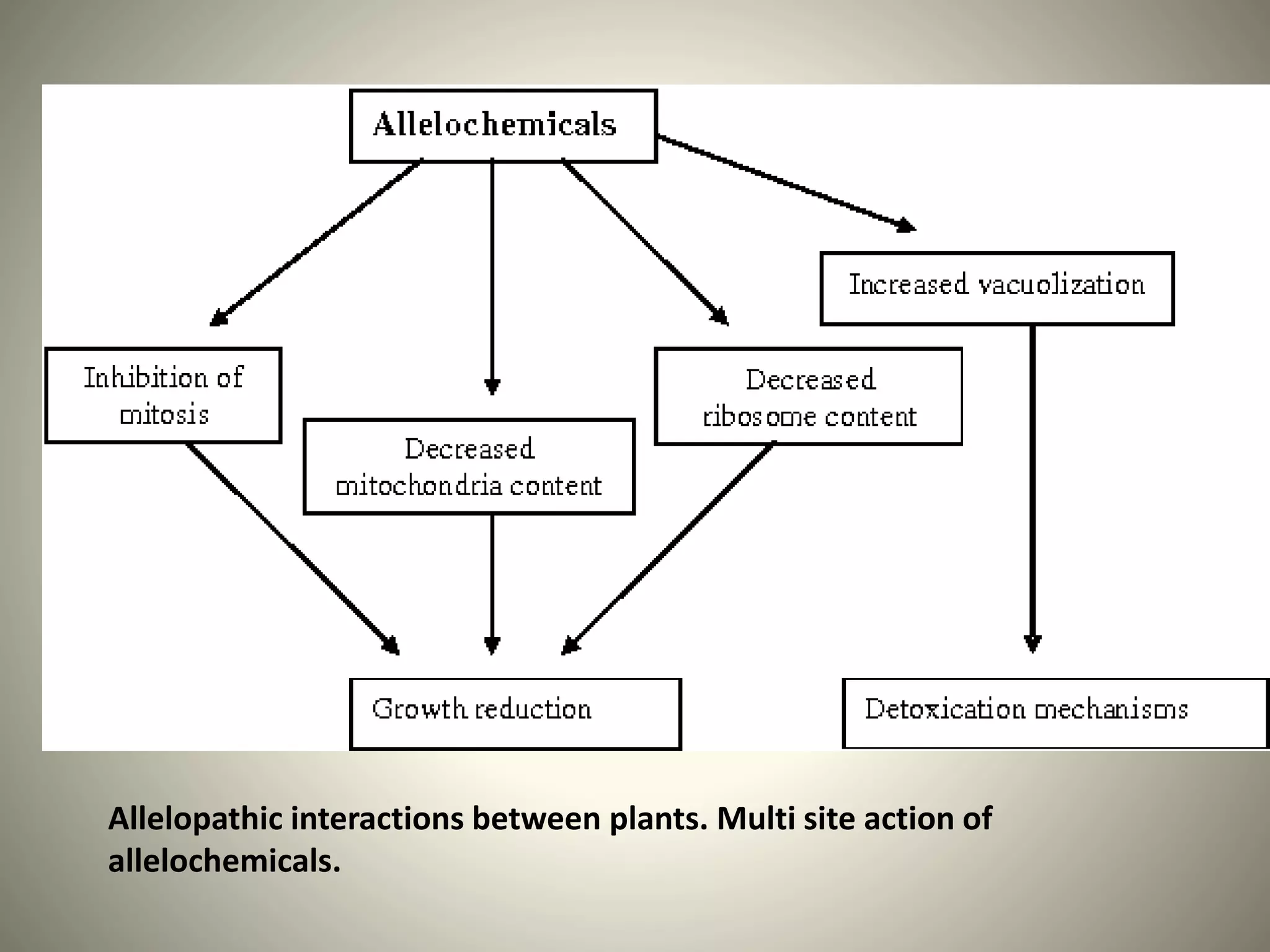 Allelochemicals (1) | PPTX