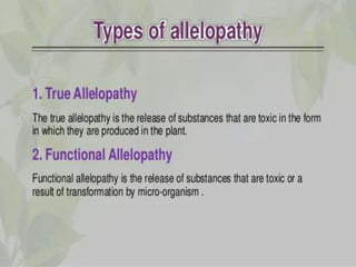 Allelochemicals (1) | PPTX