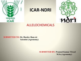 Allelochemicals (1) | PPTX