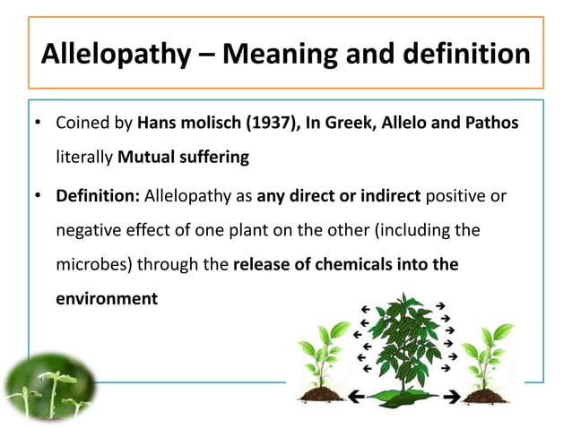 Allelopathy | PPTX