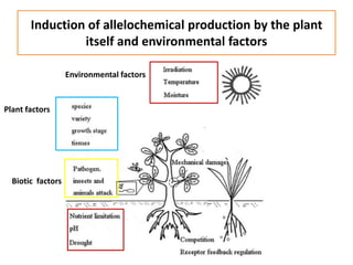 Allelopathy | PPTX