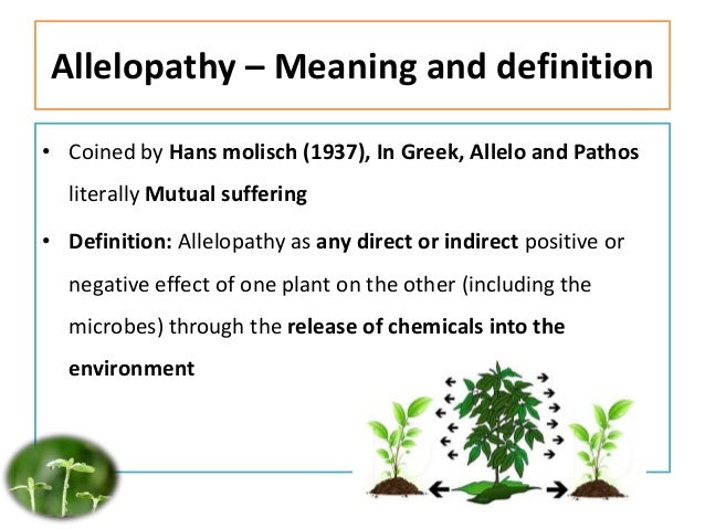 Allelopathy