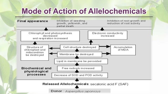 Allelopathy | PPSX