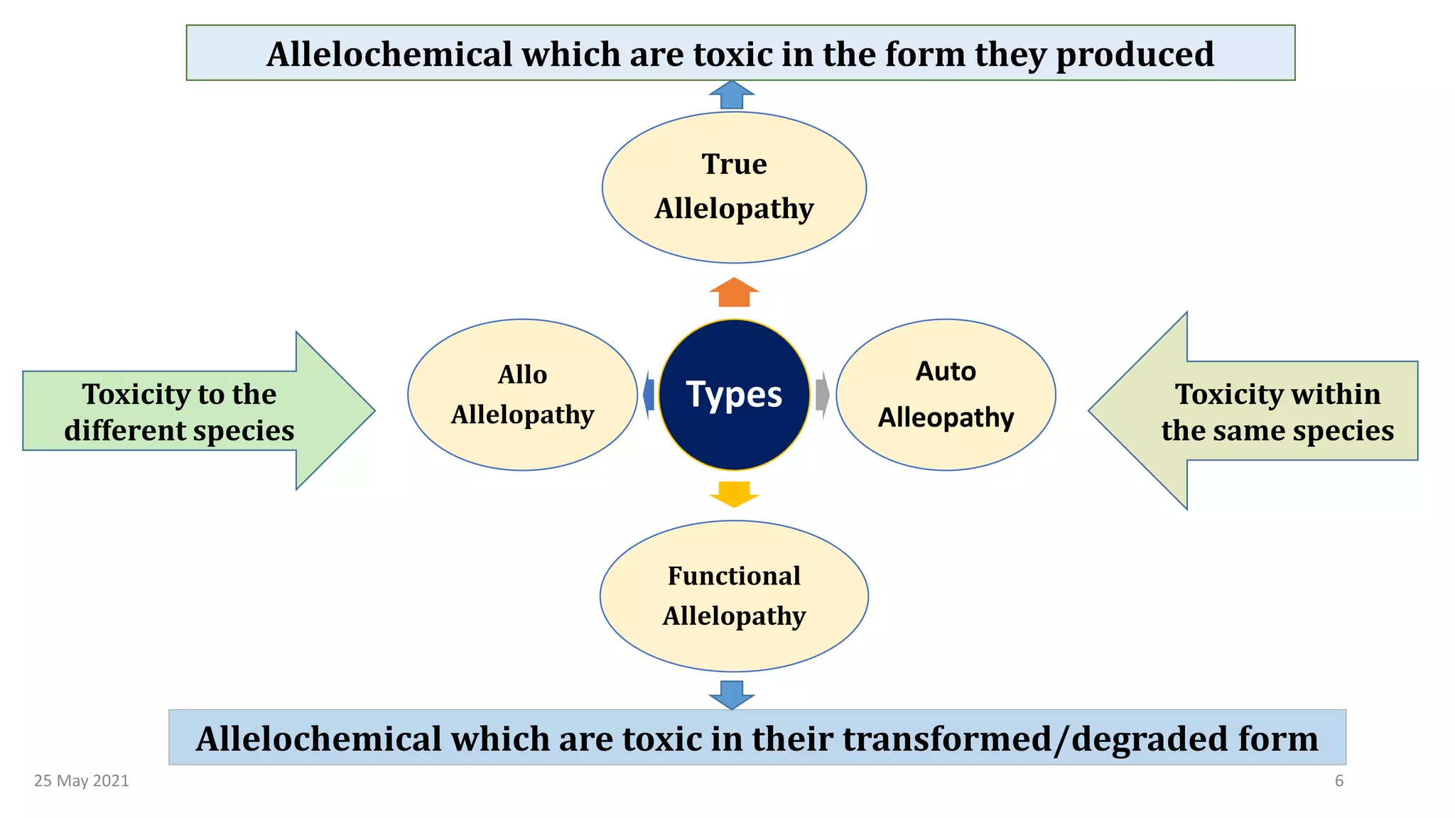 Allelopathy and its effects on vegetable production | PPTX
