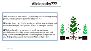 Allelopathy and its effects on vegetable production | PPTX