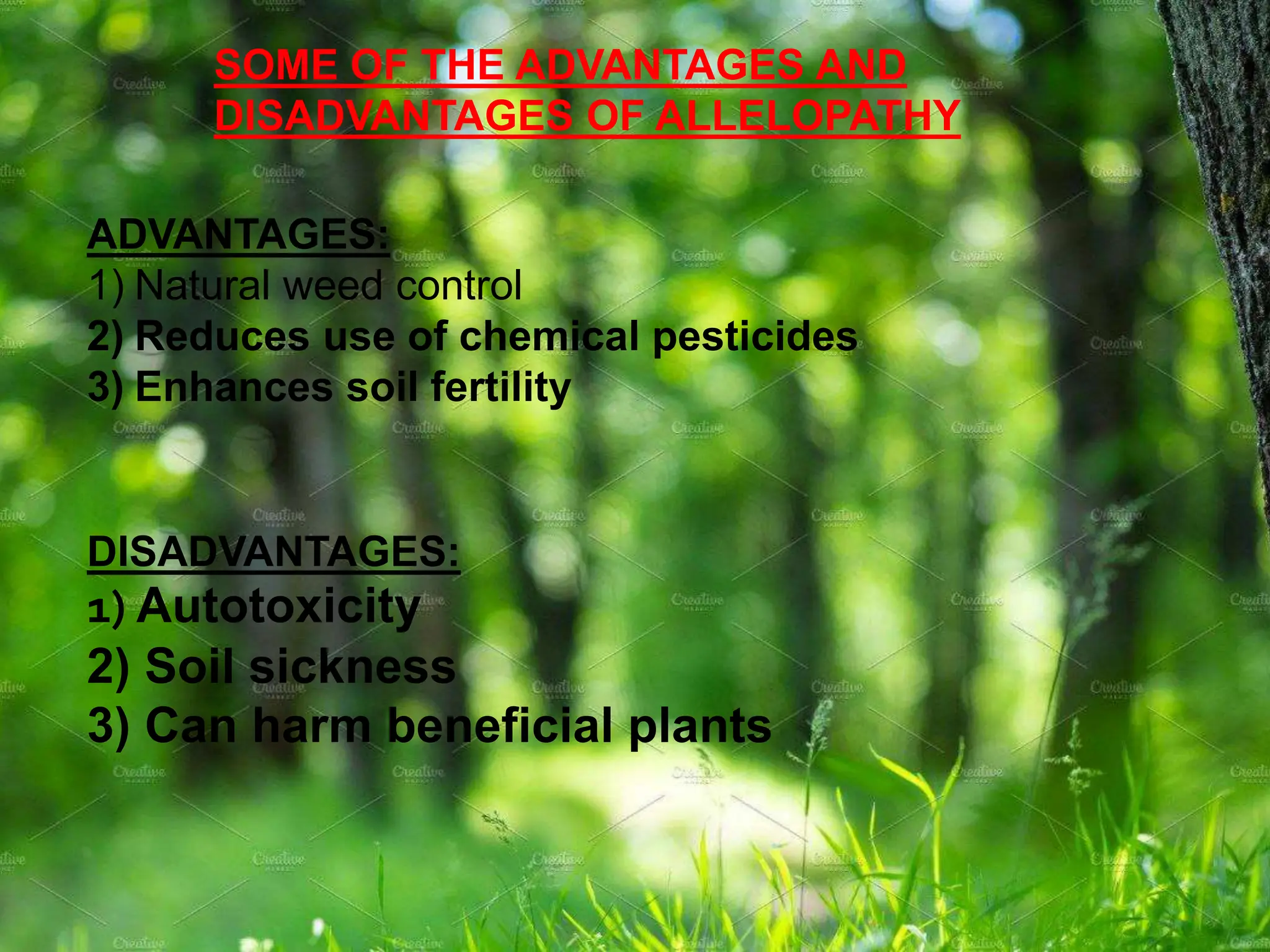 ALLELOPATHY and it's role in weed management | PPTX