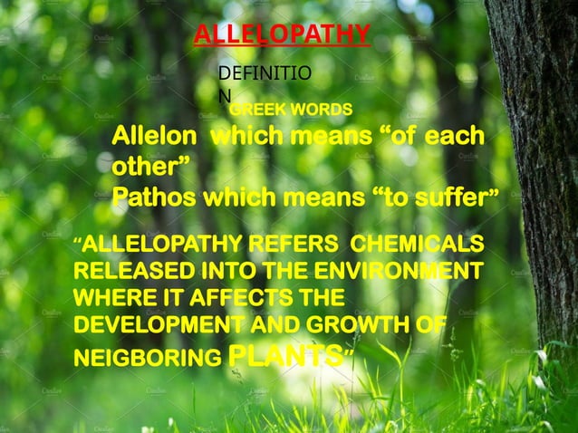 allelopathy aaaaaaaaaaaaaaaaaaaaaaa.pptx
