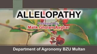 Allelopathy effects of Weeds.pptx Allelopathy effects on crop | PPTX