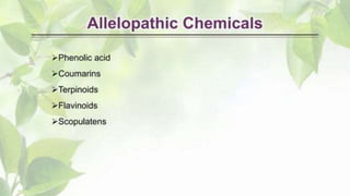 Allelopathy effects of Weeds.pptx Allelopathy effects on crop | PPTX
