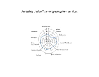 Allen adaptive management for ecosystems | PDF