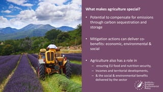 EU Agriculture & the net-zero challenge | PPTX