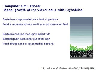 Sticky bacteria and the growth of biofilms on surfaces - Rosalind Allen ...