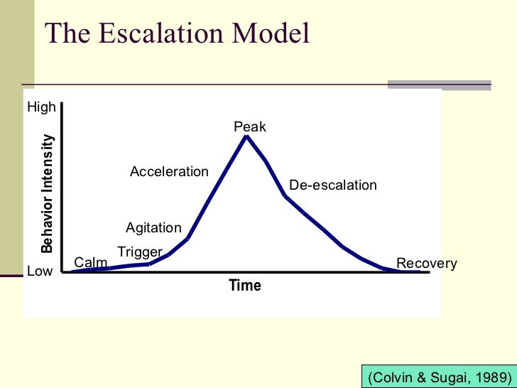 Behavior Intensity Scale