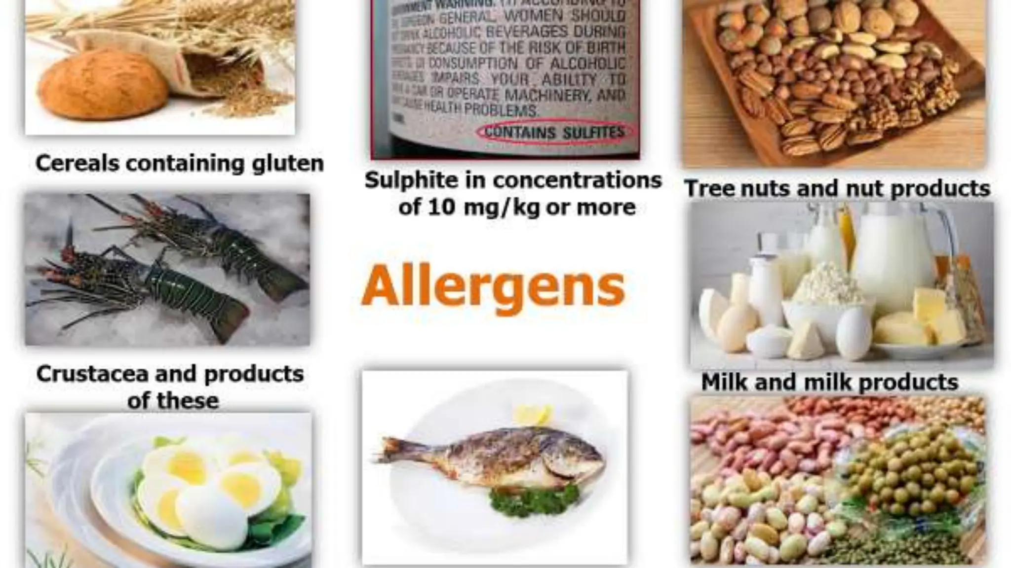 ALLERGEN awareness training for quality .pptx