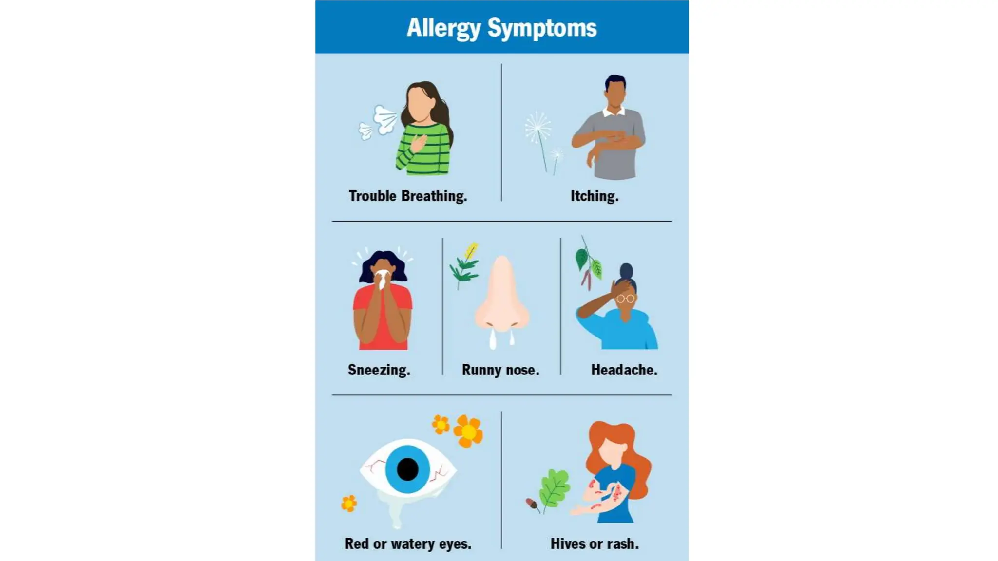 ALLERGEN awareness training for quality .pptx