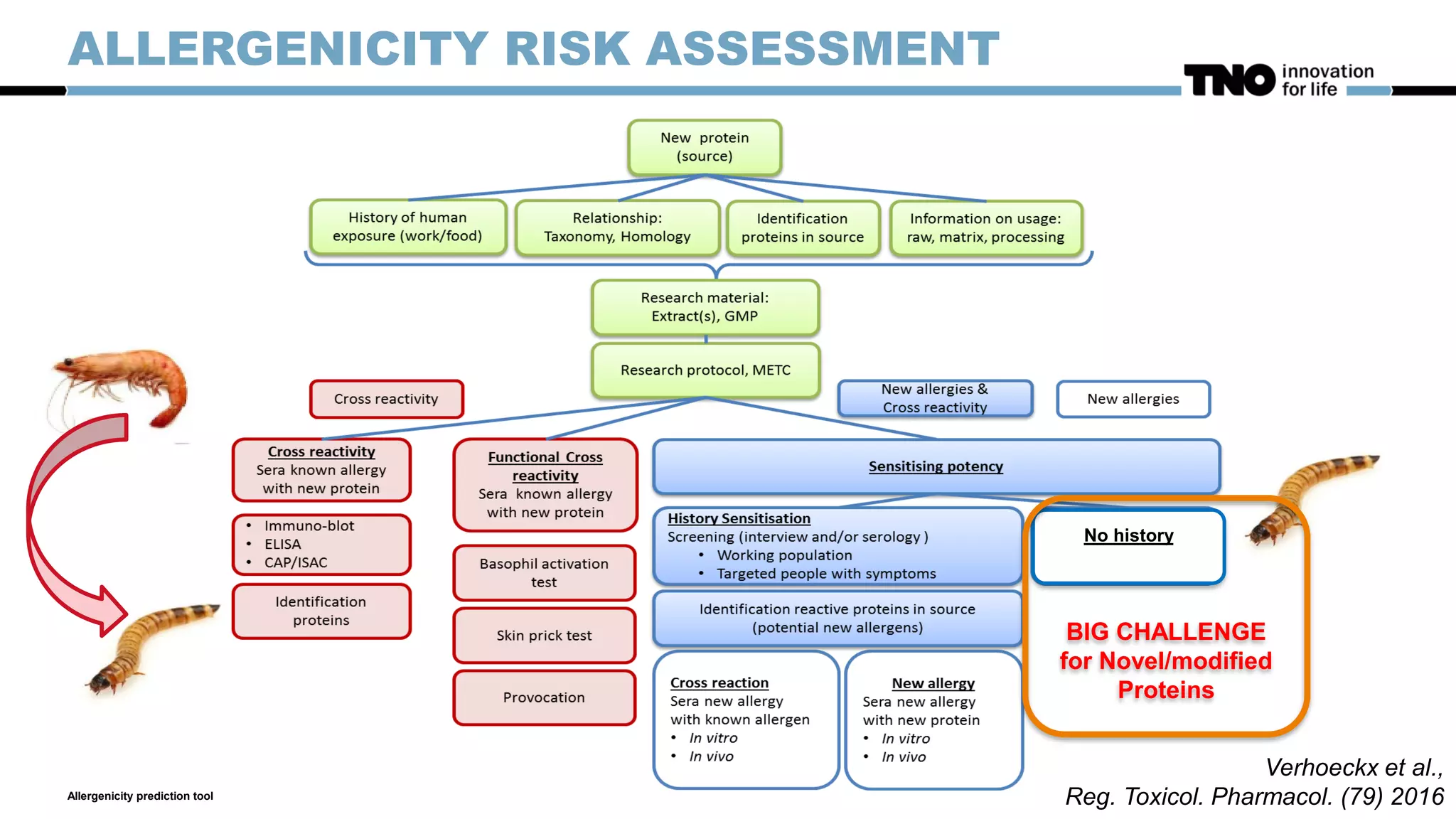 TNO Allergenicity risk prediction model | PDF