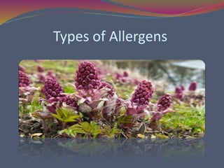 Allergens | PPTX