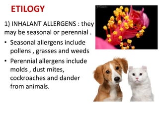 Allergic rhinitis | PPTX