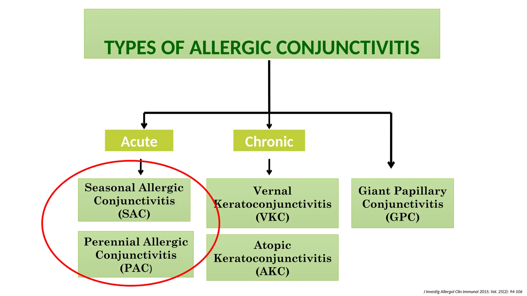Allergic conjunctivitis management.pptx
