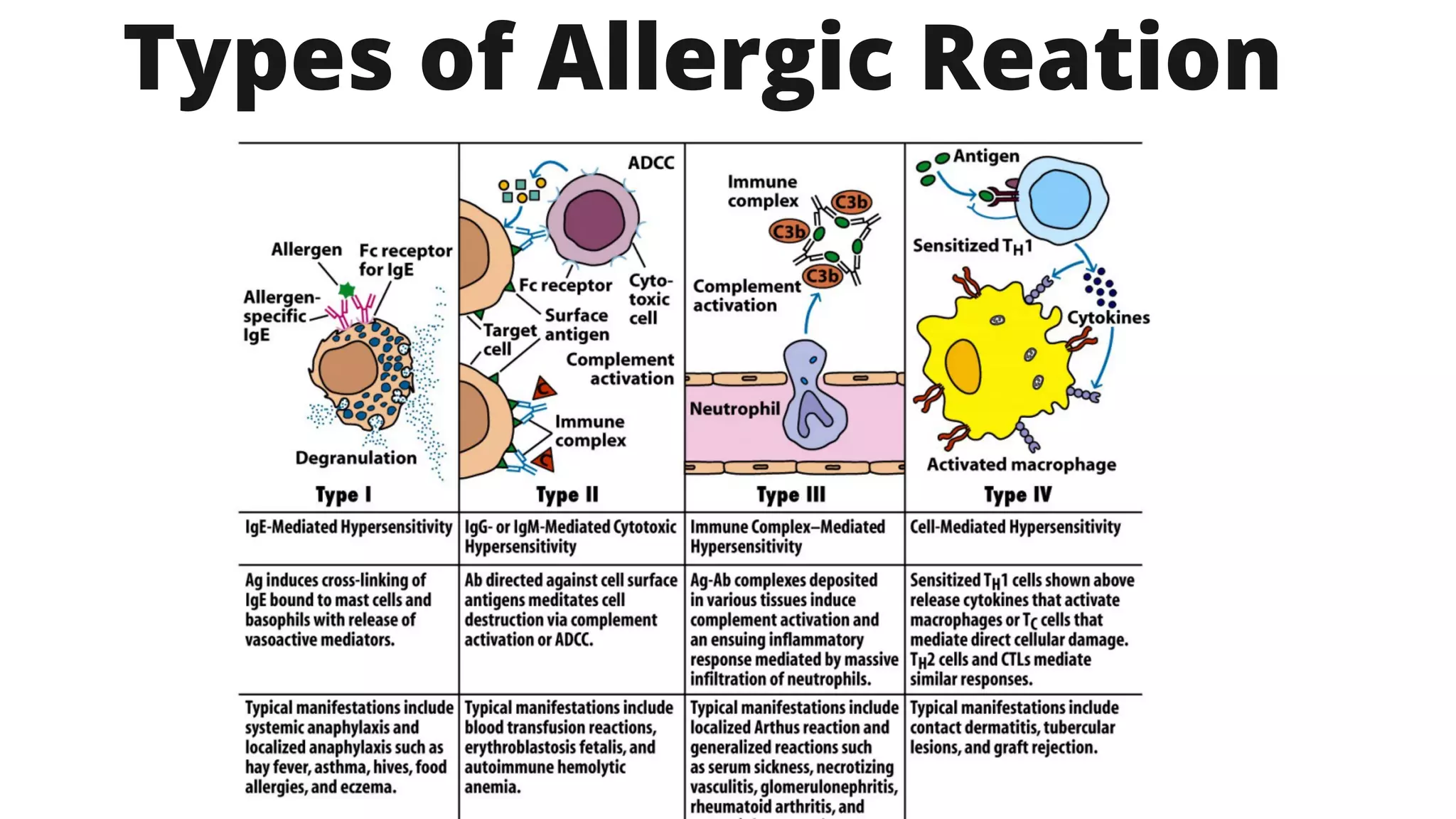 Allergic Reaction .pdf