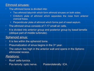 Allergic Rhinitis | PPT