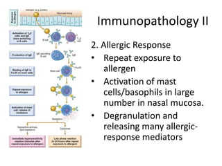 Allergic rhinitis | PPTX