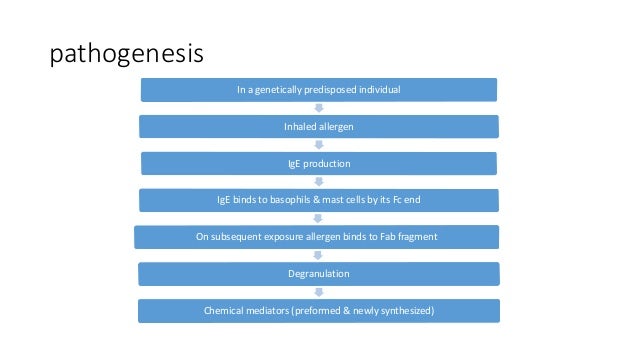 Allergic Rhinitis Pathophysiology