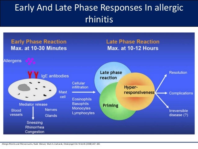 Allergic Rhinitis Pathophysiology
