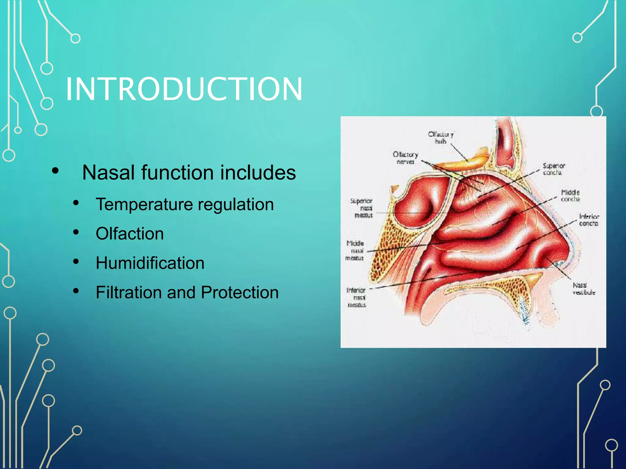 Allergic rhinitis - presentation | PPTX